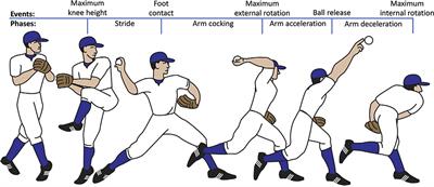 Frontiers | Lower body energy generation, absorption, and transfer in youth baseball pitchers